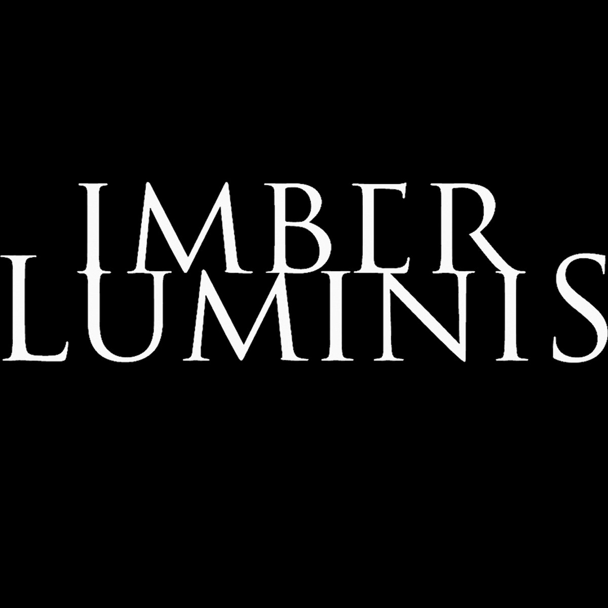 "Logo & Orages" T Shirt - Girlies & Men | Imber Luminis