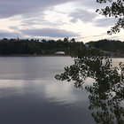 GOODNIGHT HYPNOPOMP | STOMACH BOOK