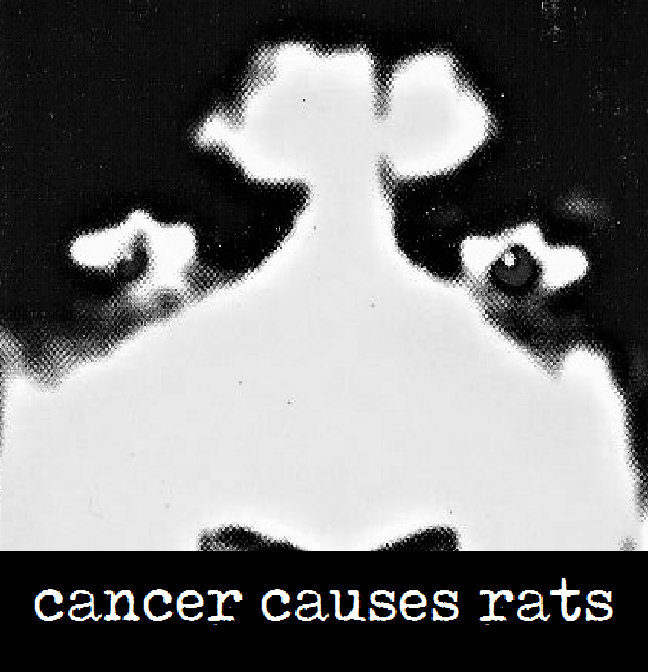 live June 16, 2019 | cancer causes rats