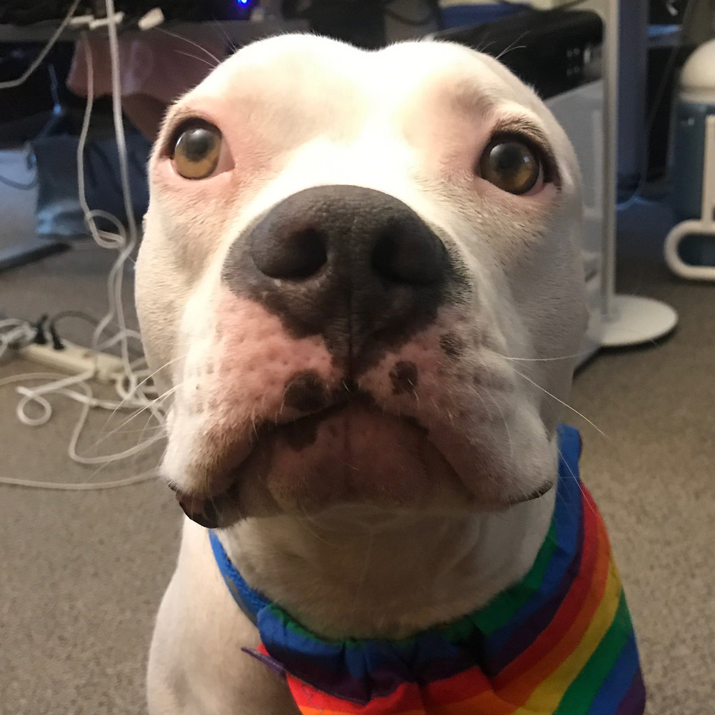 stevedingle's collection | Bandcamp