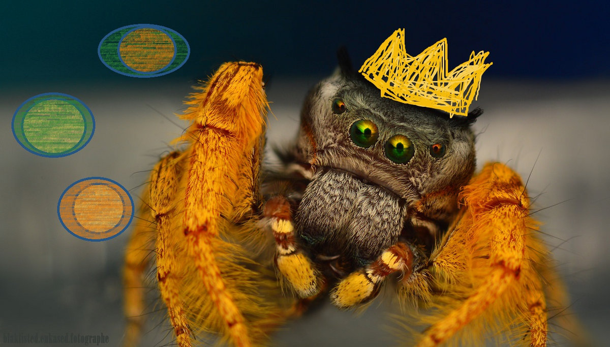Is History's Greatest Monster | The Suffering Spider Queen