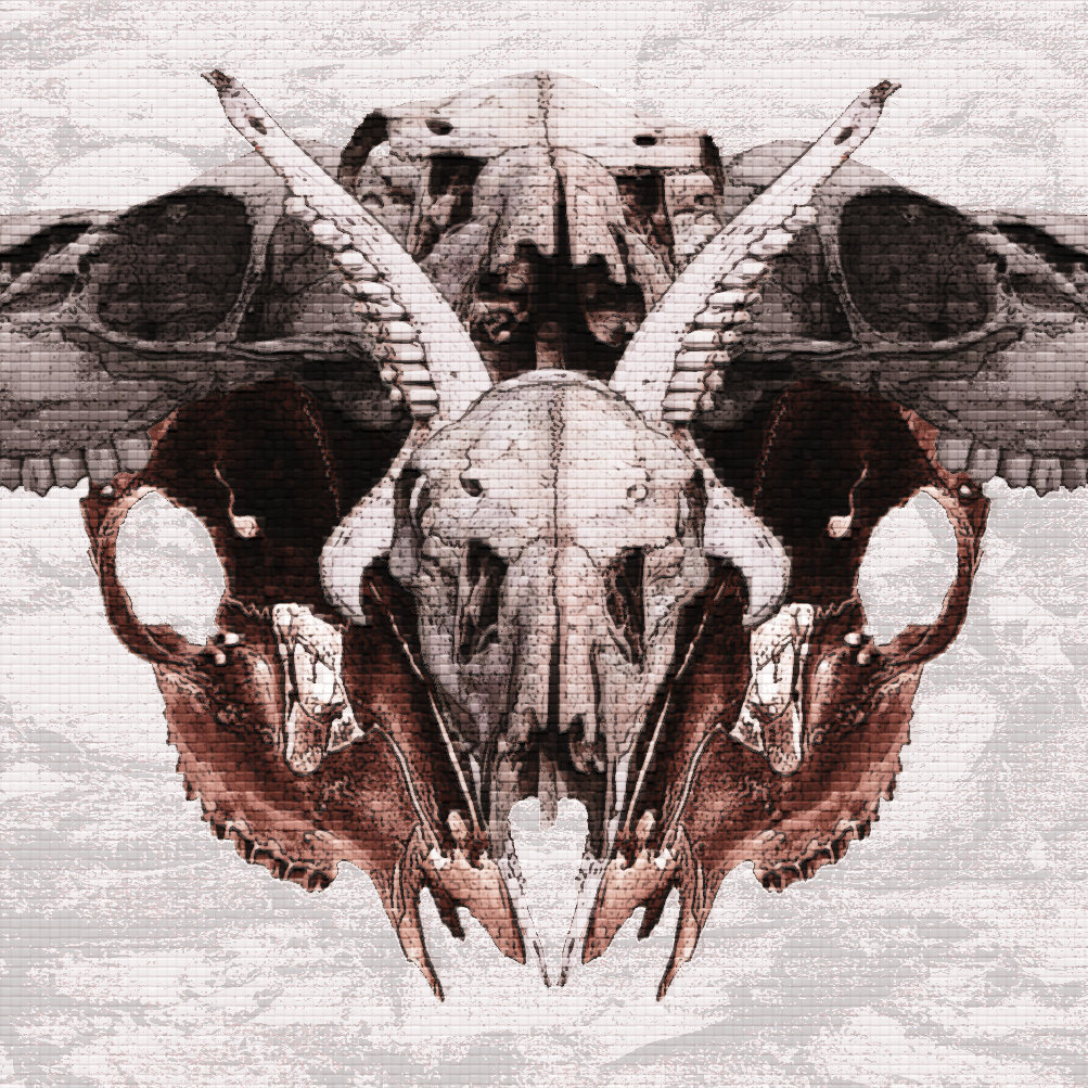 tim_luca_saur's collection | Bandcamp