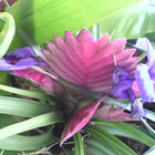 Hello Elly Raine #69LucyMusings | Lucy Muse