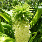 A Pyrrhic Existence | Esoteric