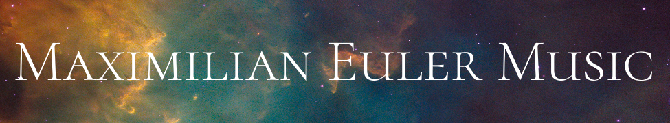 Zero Gravity | Maximilian Euler Music