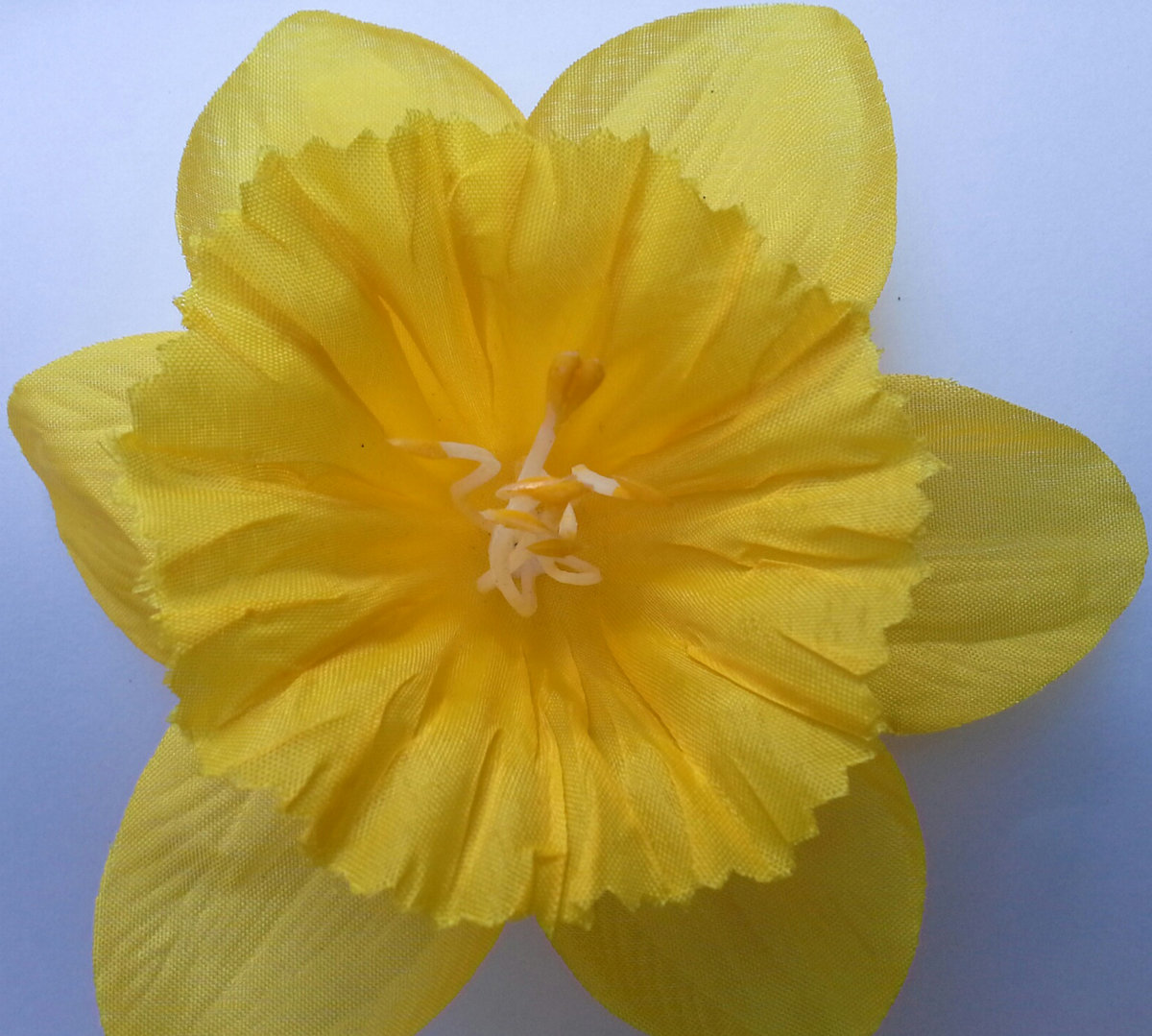 SLAPSTICK, 289 | DAFFODILL