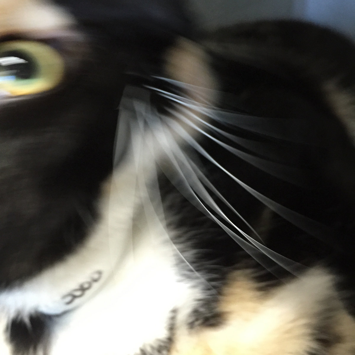 noise tape 2023 | Ivan Liptak