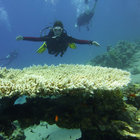 Running Away | VANO 3000, BADBADNOTGOOD, Samuel T. Herring | VANO 3000