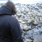 Order of Torment | Genocide Pact