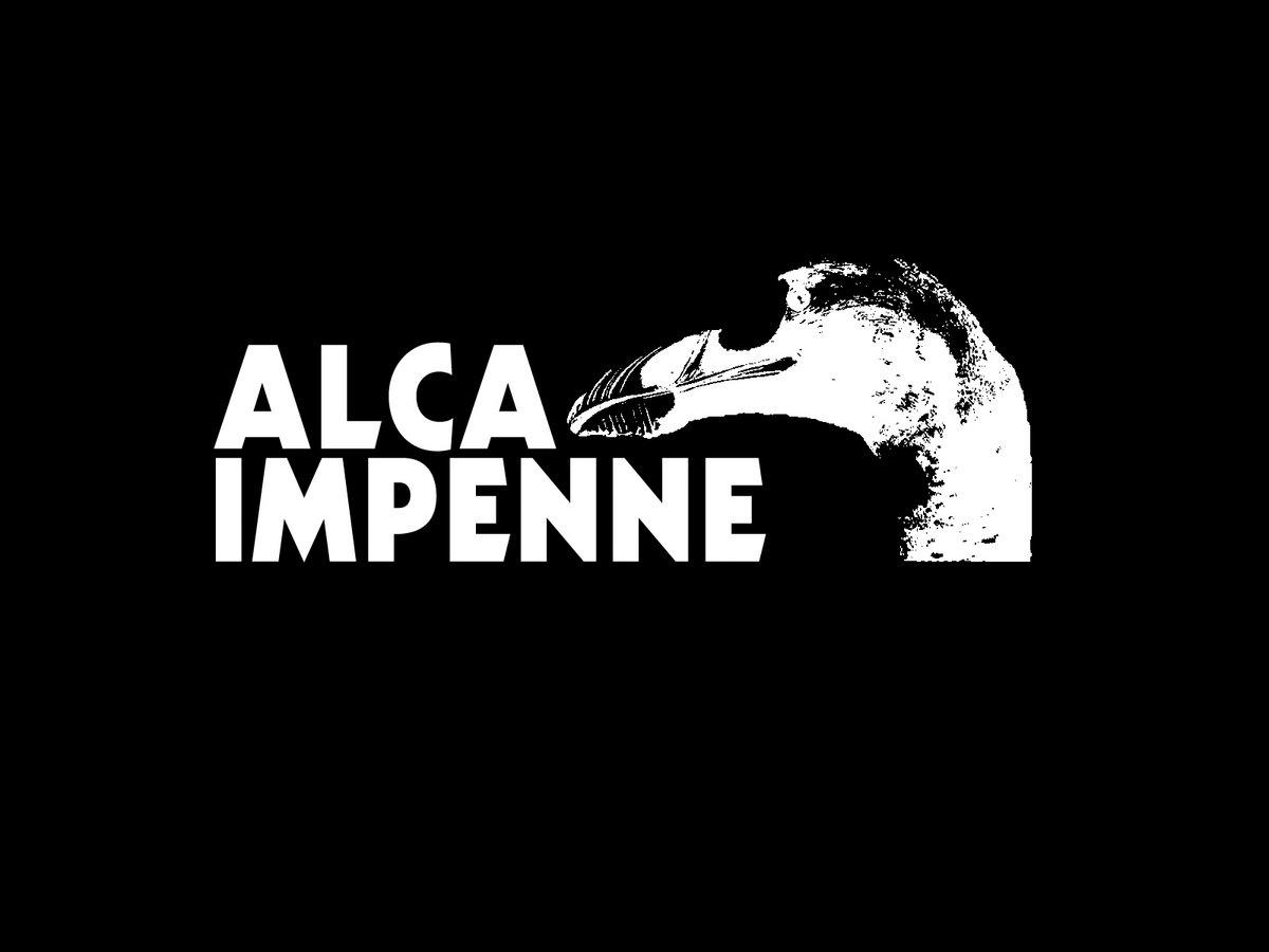 Alca Impenne EP | Alca Impenne