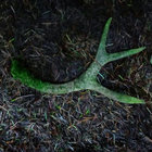 Interdimensional Invocations | Xoth