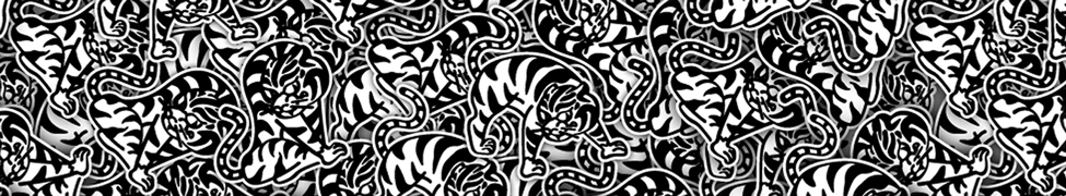 Balming Tiger vol.1: 虎媄304 | Balming Tiger