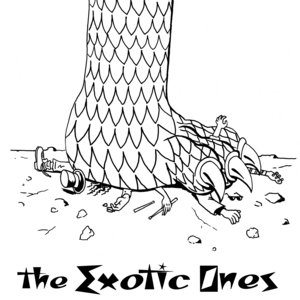 Music | The Exotic Ones