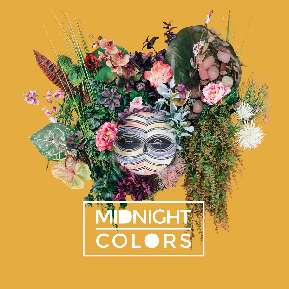 Back to life | Midnight Colors