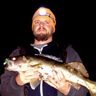 Geogaddi | Boards of Canada