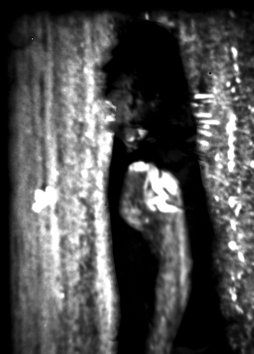 Shadow Projection | Ecferus