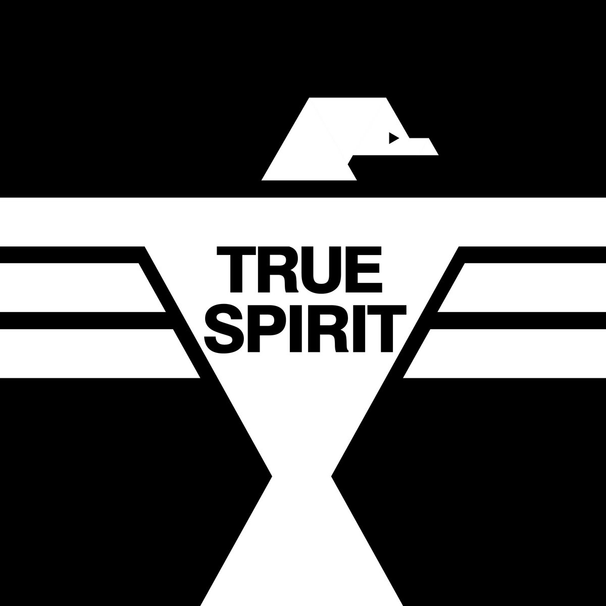 Music | True Spirit