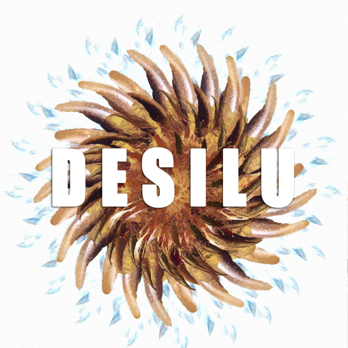 Live @ The Electric Church | Desilu