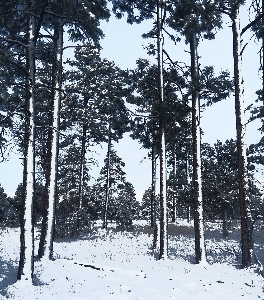 S31 007 - TWA Flight 260 Crash Site, Volume 1 (CD-R) | Steve Jansen ...