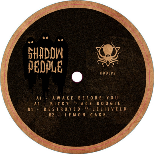 Seeing Shadow Figures