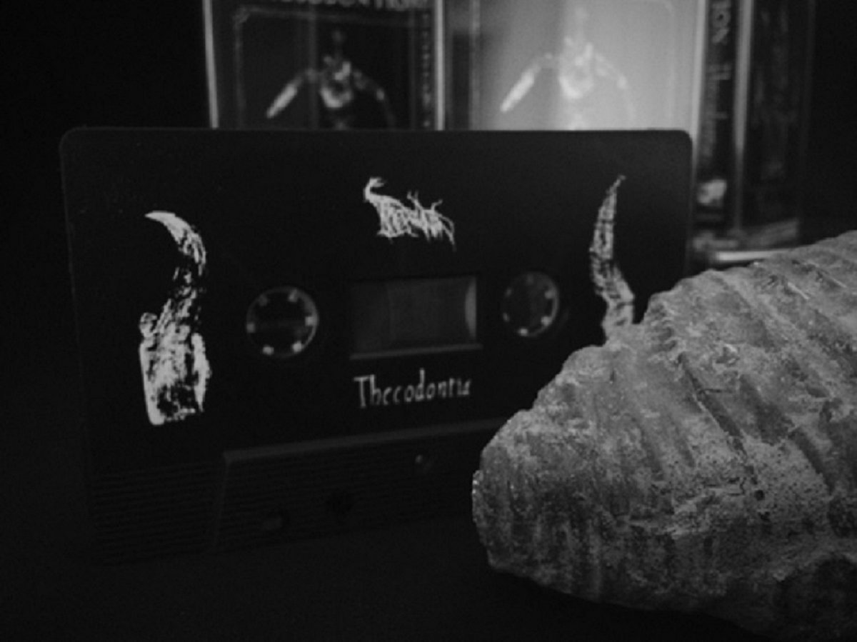 Thecodontia | Thecodontion