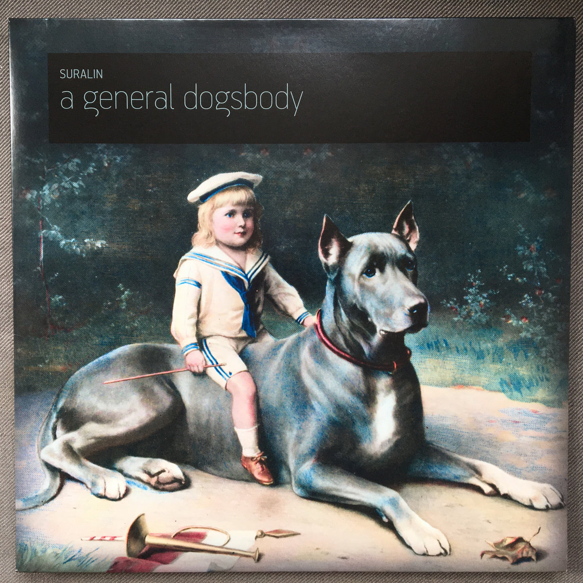 A GENERAL DOGSBODY | SURALIN
