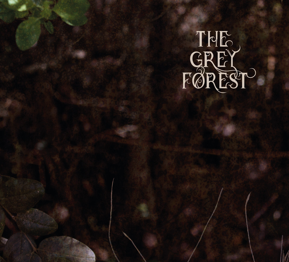 The Grey Forest | The Grey Forest