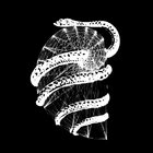 Unpredictable Signs | Kloob | Winter-Light