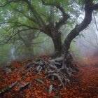 Made Through Ritual | Plunky & Oneness of Juju | Oneness of Juju