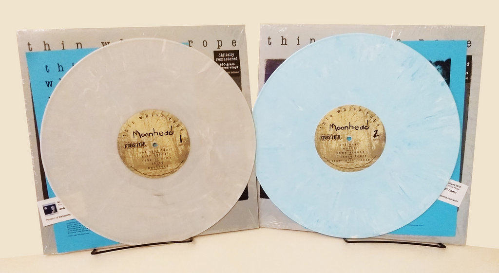 The Punk Legacy of Frontier Records | Bandcamp Daily