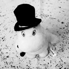 Studio Jams Volume 6 | Psychic Lemon