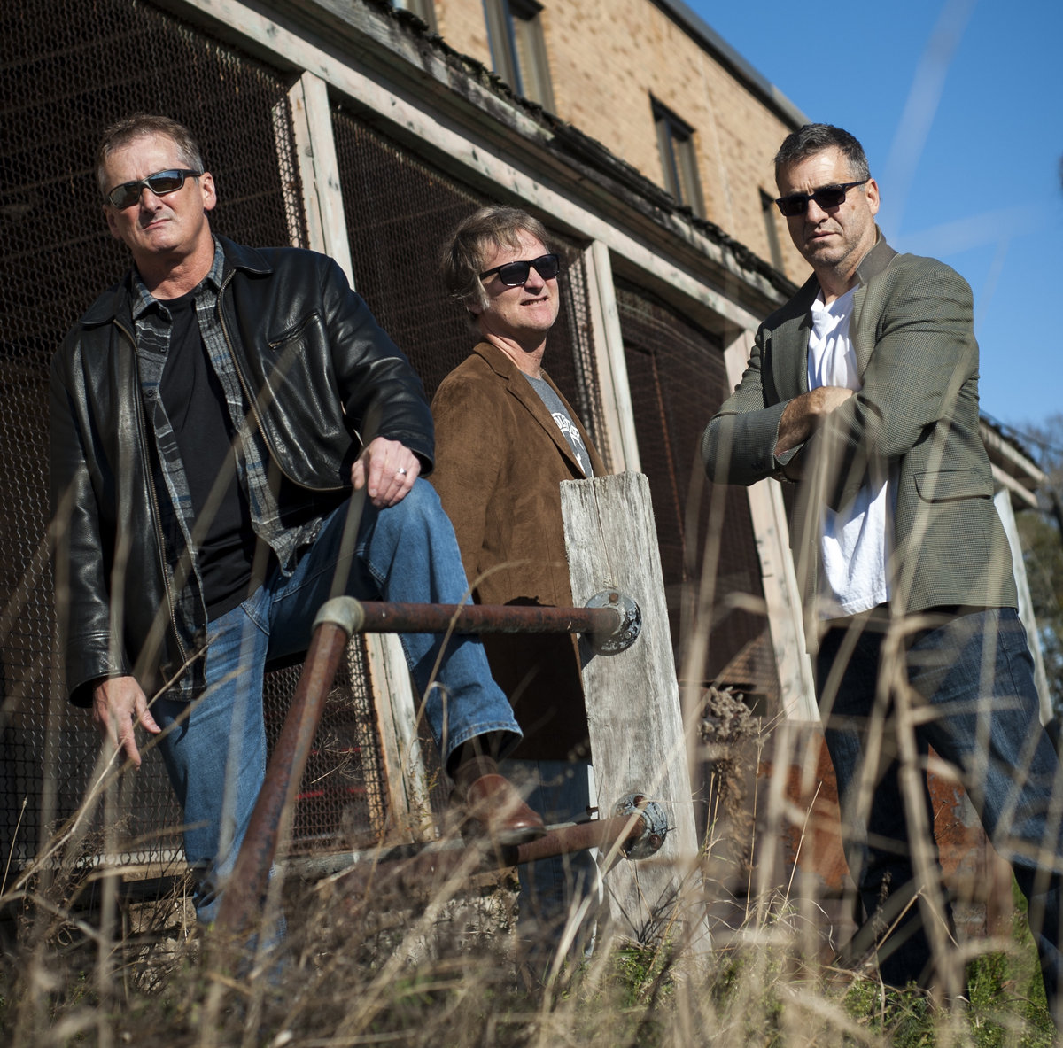 Testimony | Bruised Orange