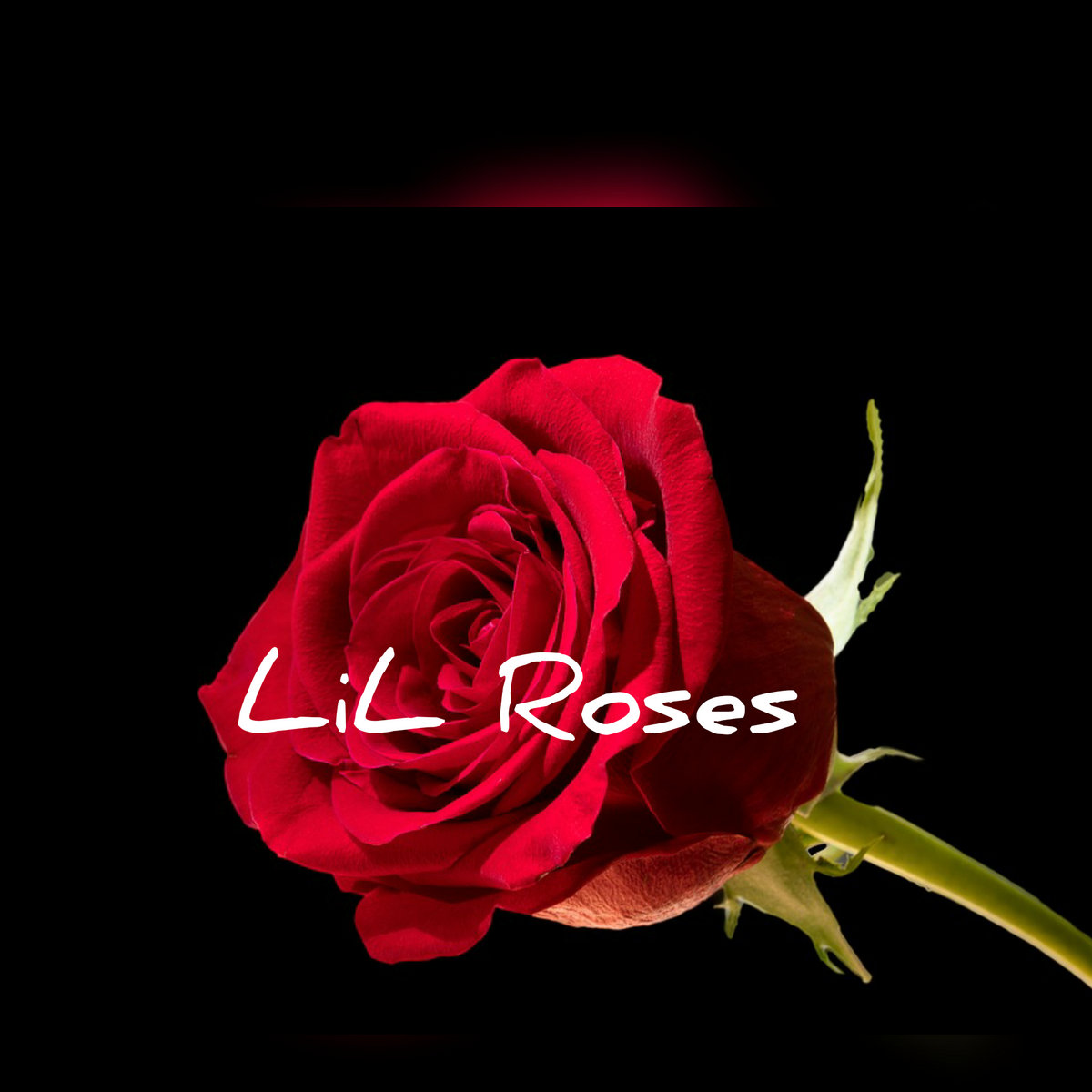 Music | LiL Roses