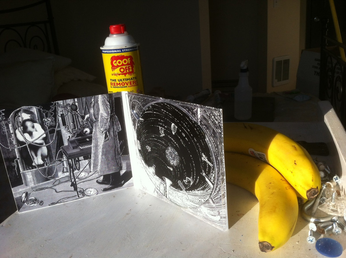 The Sheen | The Sheen