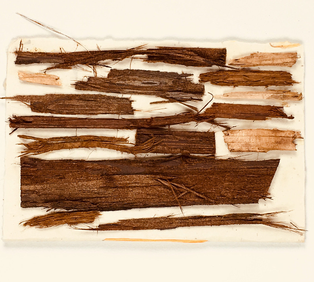 Nature Garage | Nature Garage