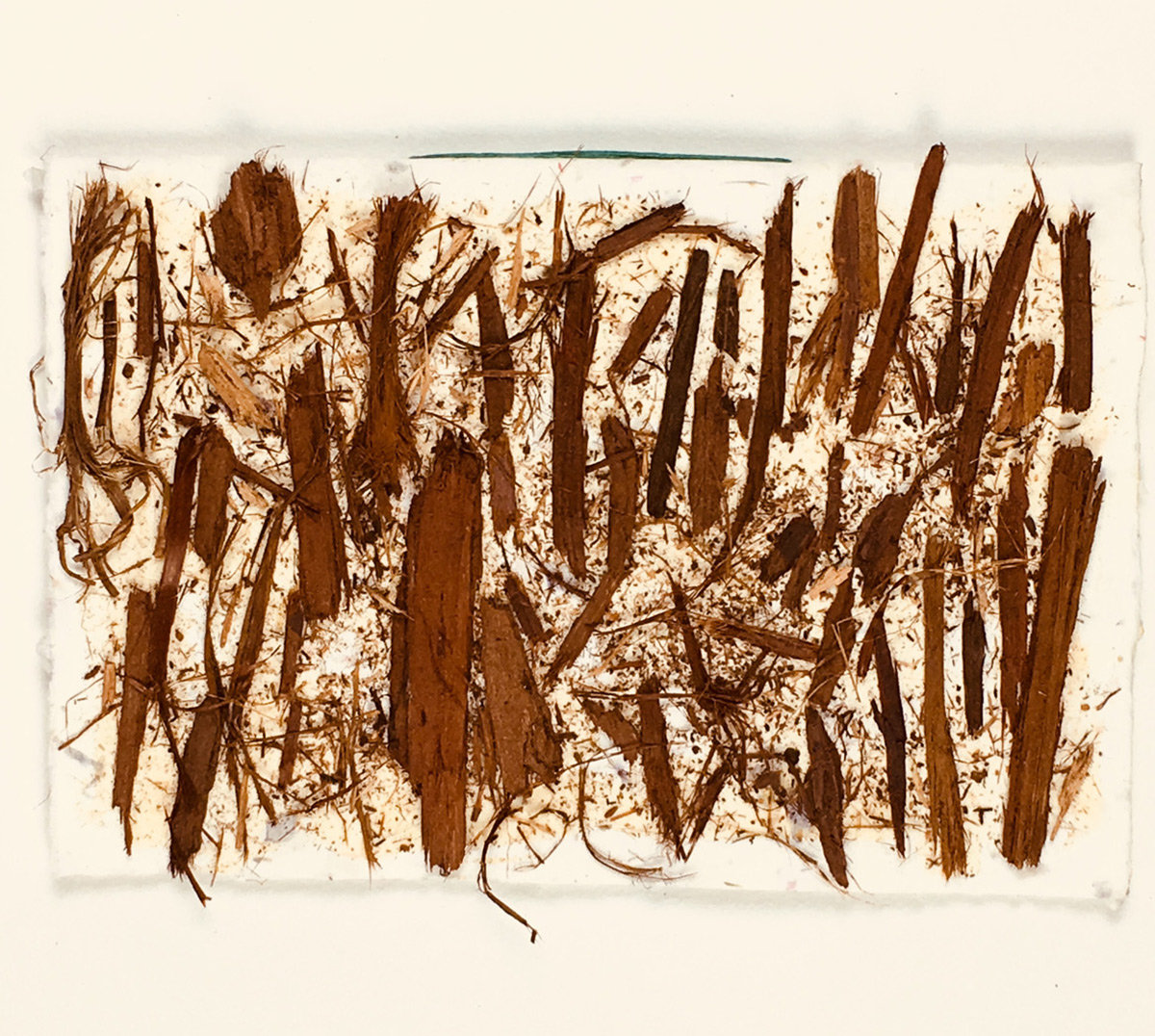 Nature Garage | Nature Garage