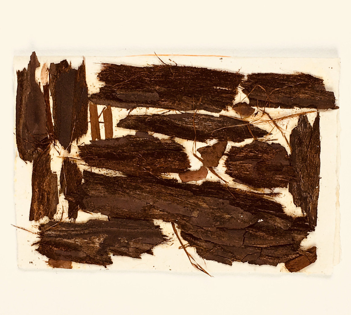 Nature Garage | Nature Garage