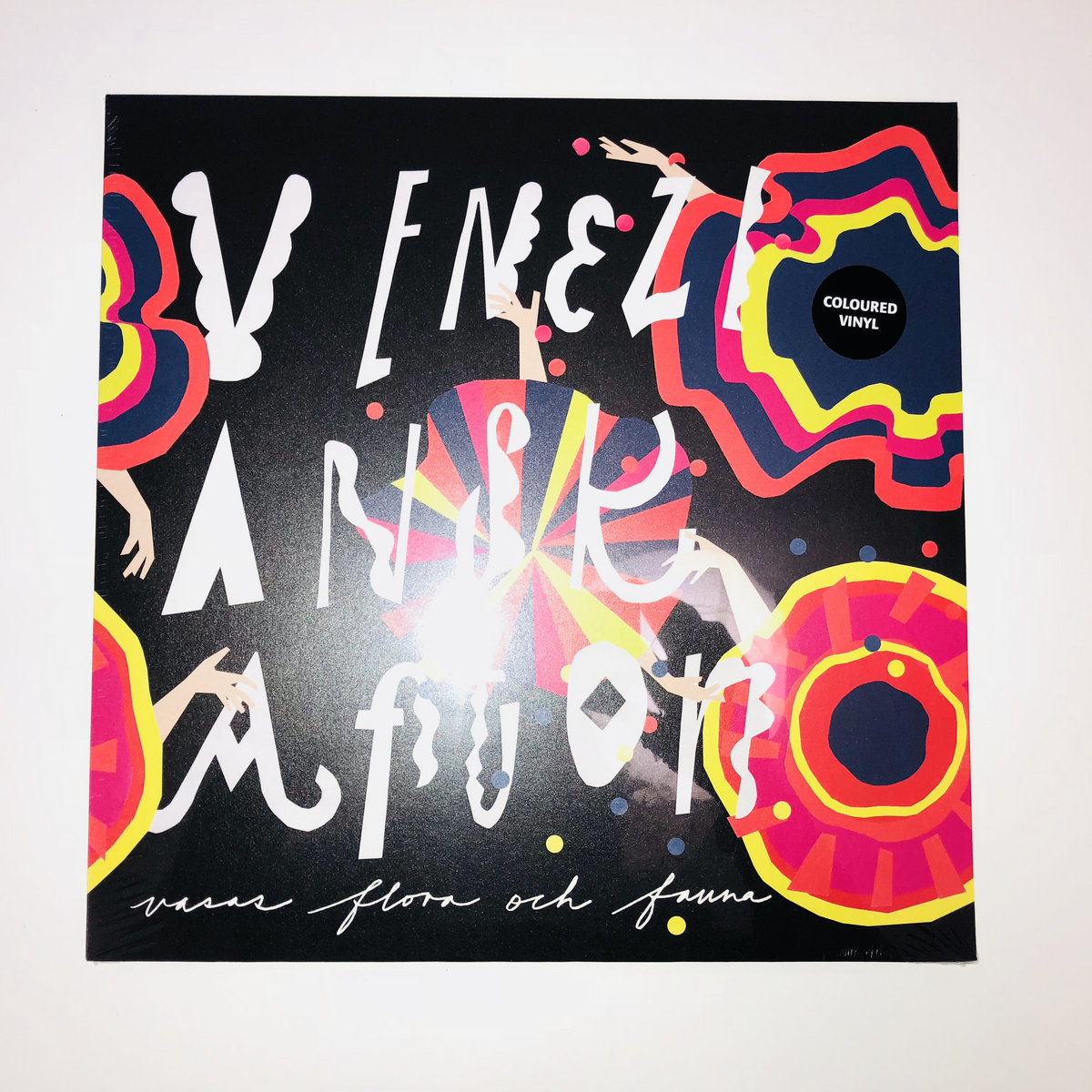 Veneziansk afton | Vasas flora och fauna