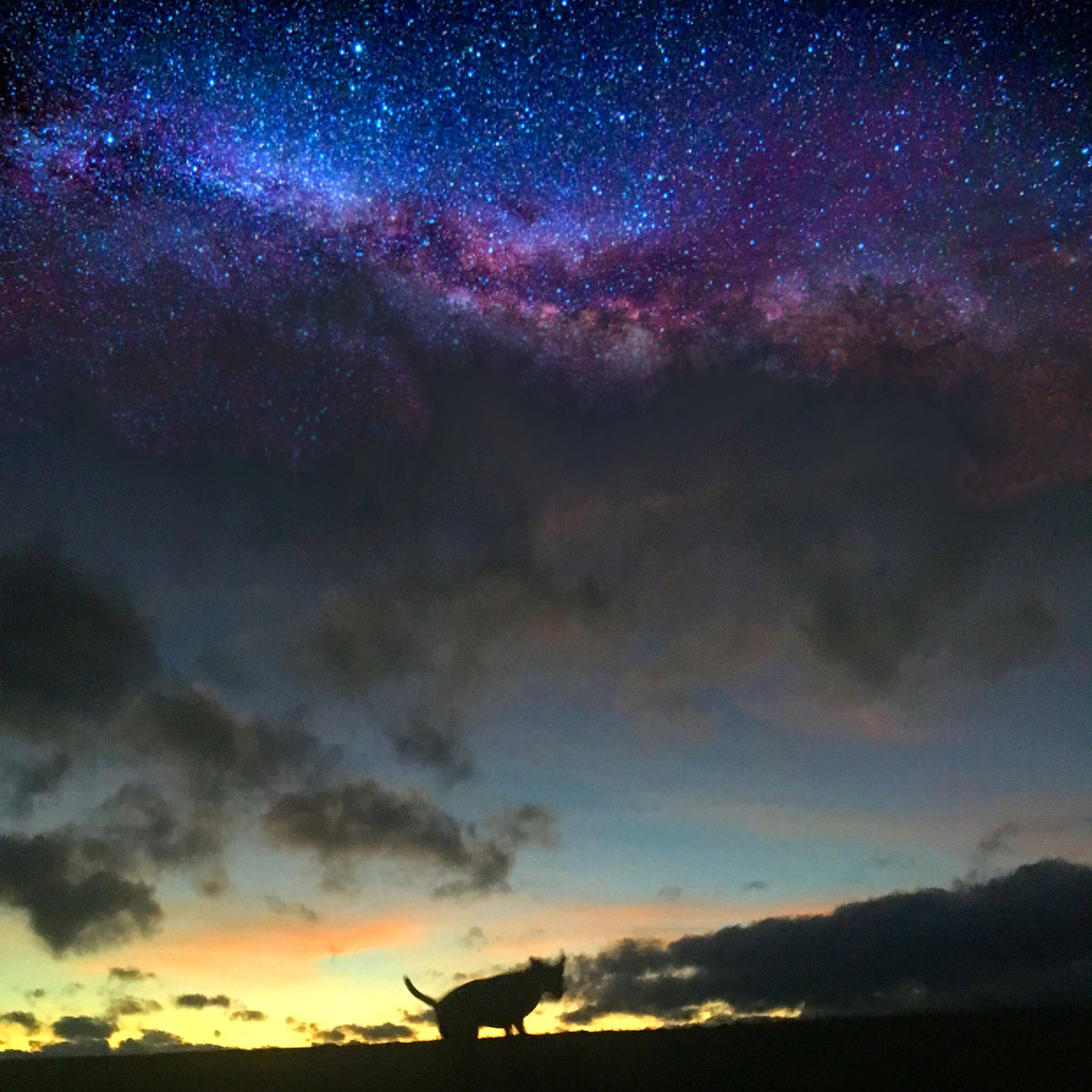 Crescent Sun | Crescent Sun