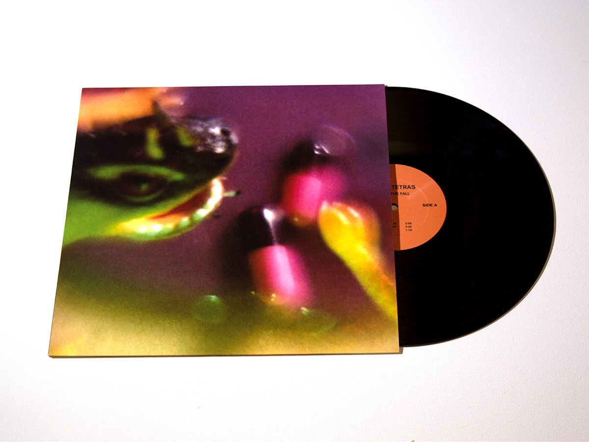 Take the Fall | Bush Tetras