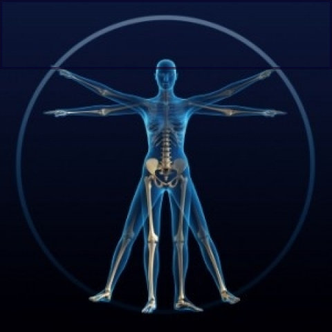 New Accords | Some Body