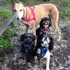 I Wanna Go Home | Derek Luttrell