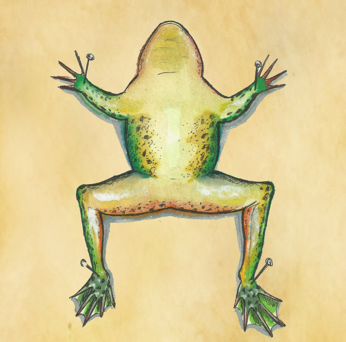 Departure | Devil, The Architect