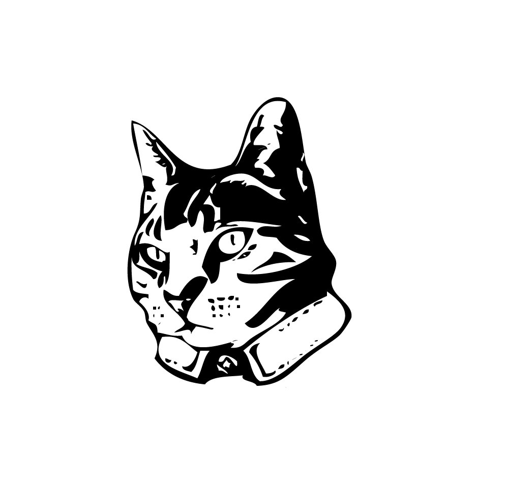 The Chase Rumble Cat
