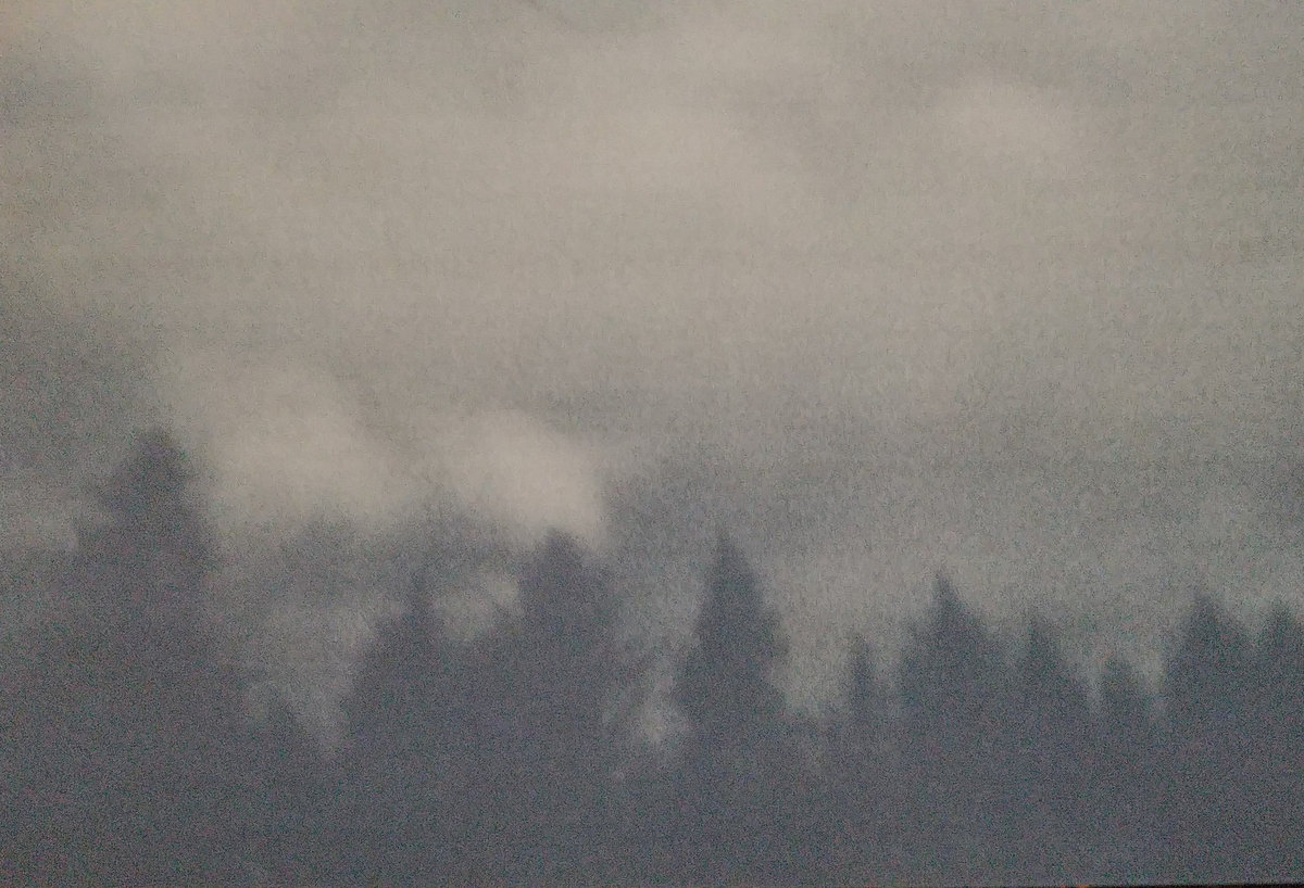 Everything's Okay | Fossa Club