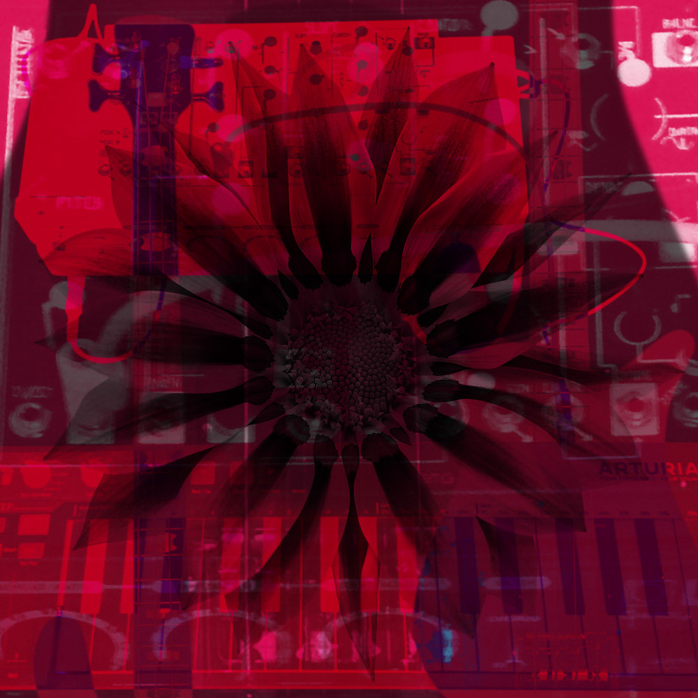 R-DA-Epoch | Pink Midnight