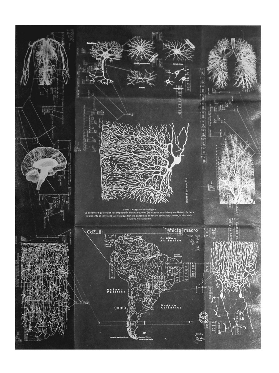 Soma | Cola de Zorro