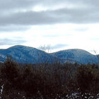 A I A : Alien Observer | Grouper