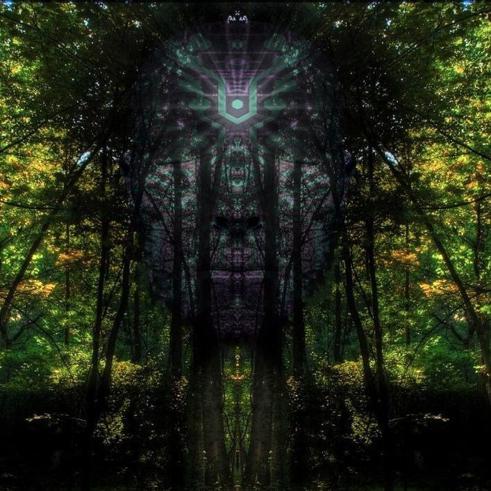 serotonin_storm's collection | Bandcamp