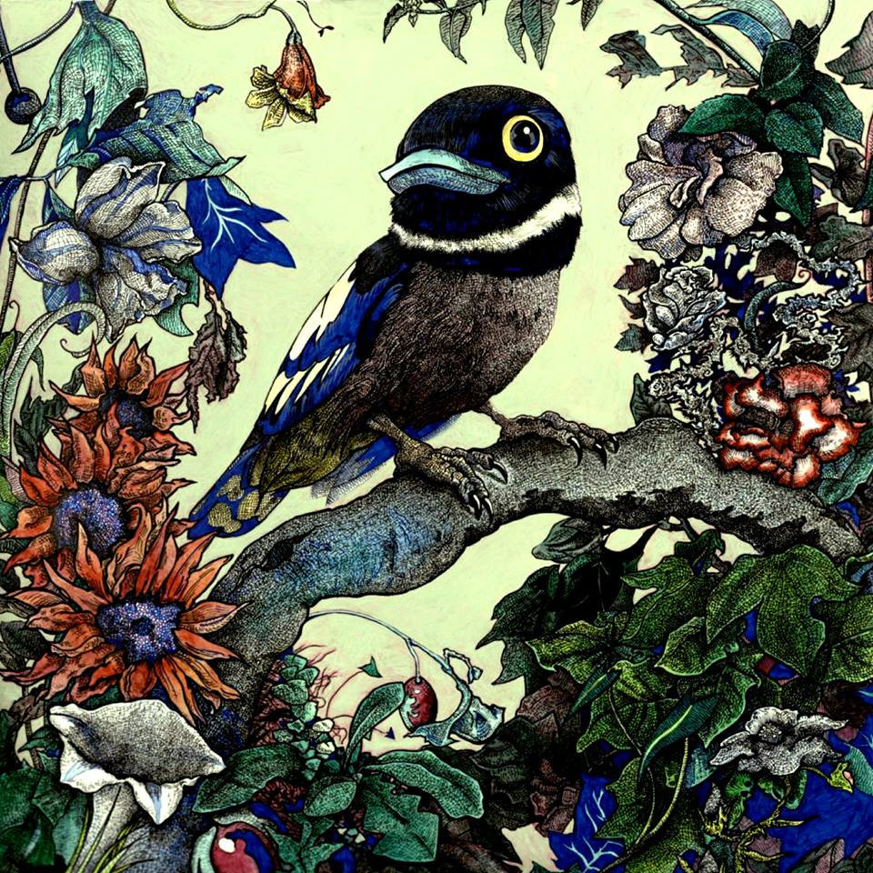 Land of Purple | Broadbill